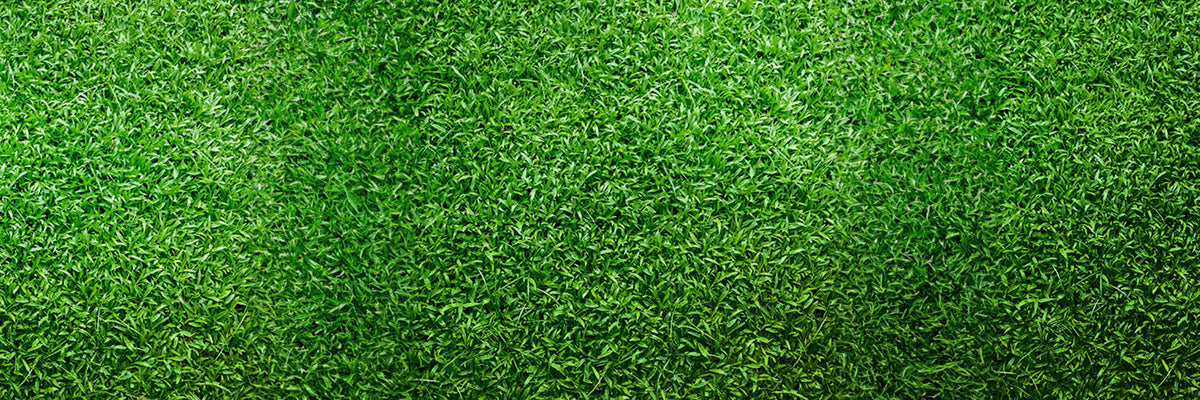 NRL Grand Final Gear | Jerseys, Merch & Fan Favourites